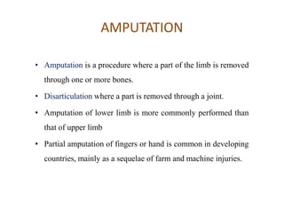 Amputation | PDF