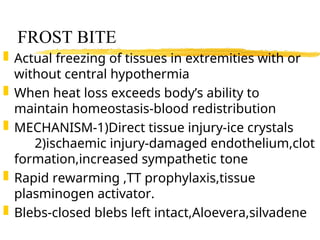 amputation.ppt in crush injury of lowerlimbs | PPT