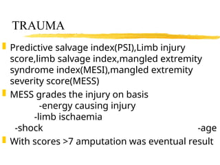 amputation.ppt in crush injury of lowerlimbs | PPT