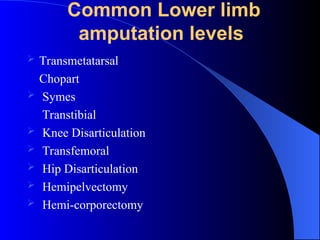 Amputation of the lower limb . | PPT