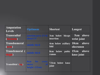 Amputationautosaved | PDF