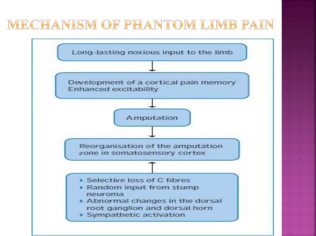 amputation final ppt (1).pptx