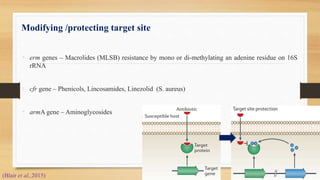 Anti-microbial Resistance | PPTX