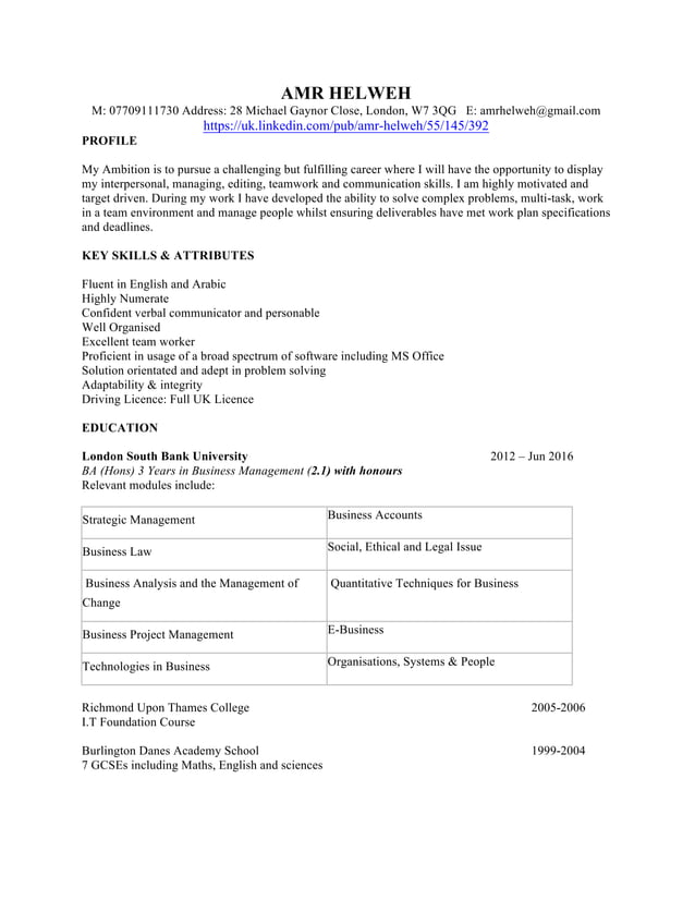 Amr cv 2017 | PDF | Business Administration | Business