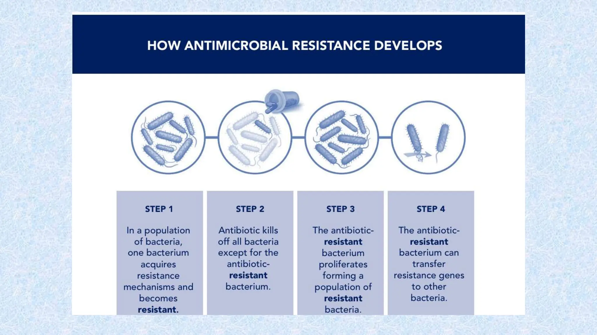 AMR dan stewardship antimikroba kelompok 4.pptx