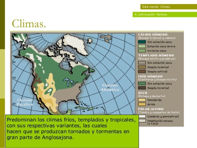 Que Es Anglosajona Y Latina Women