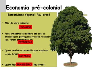 América portuguesa a colonização do brasil | PPT