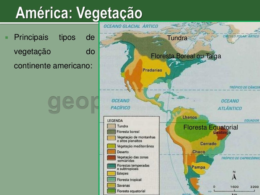 Vegetação Do Continente Americano - RETOEDU