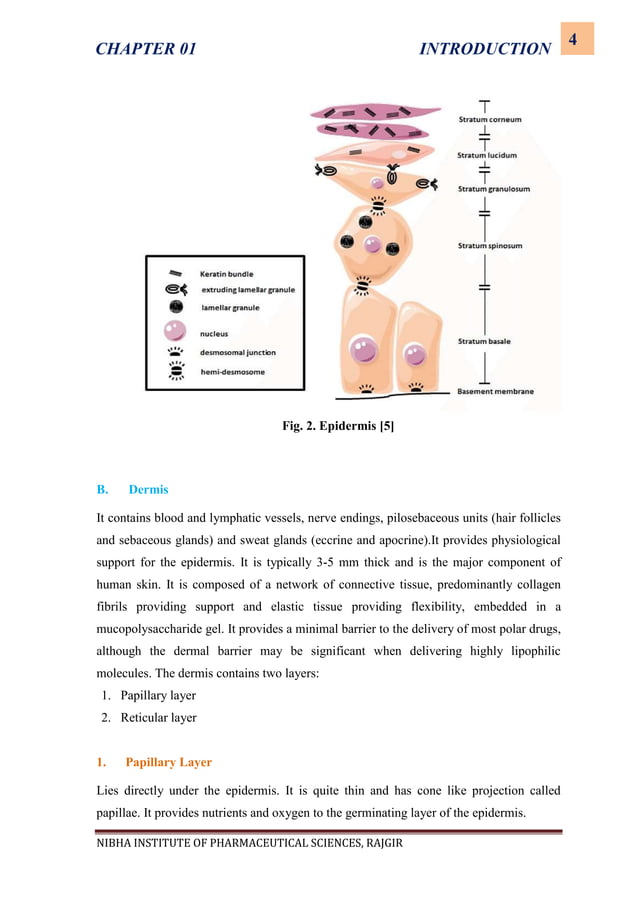 Amrita Rani .......docx