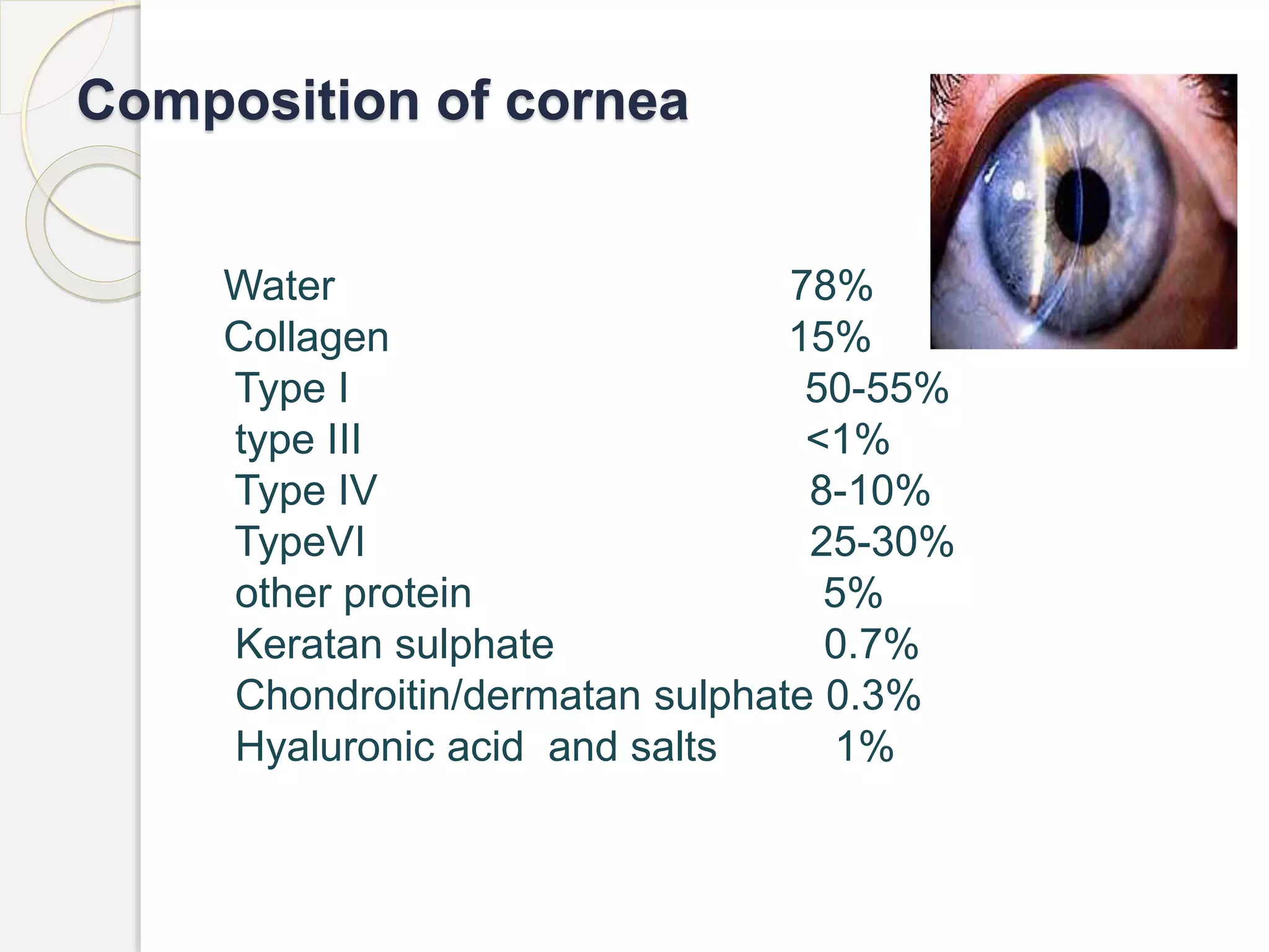 cornea physiology | PPTX