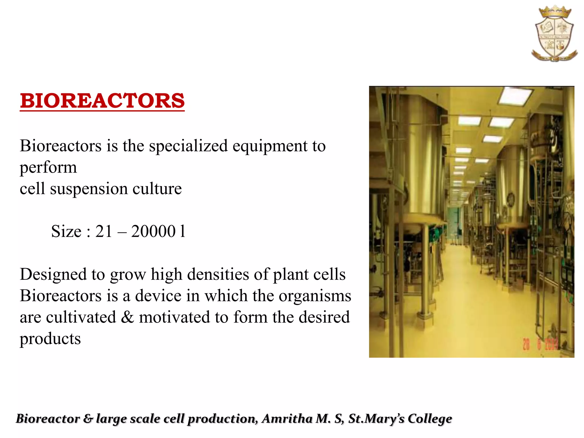 Botany:Bioreactors & Large Scale Cell Production | PPTX