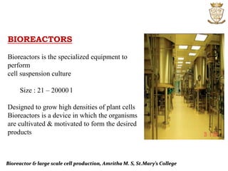 Botany:Bioreactors & Large Scale Cell Production | PPTX