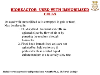 Botany:Bioreactors & Large Scale Cell Production | PPTX