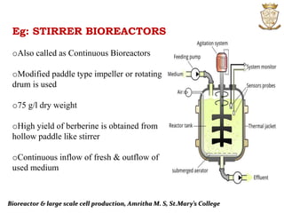 Botany:Bioreactors & Large Scale Cell Production | PPTX