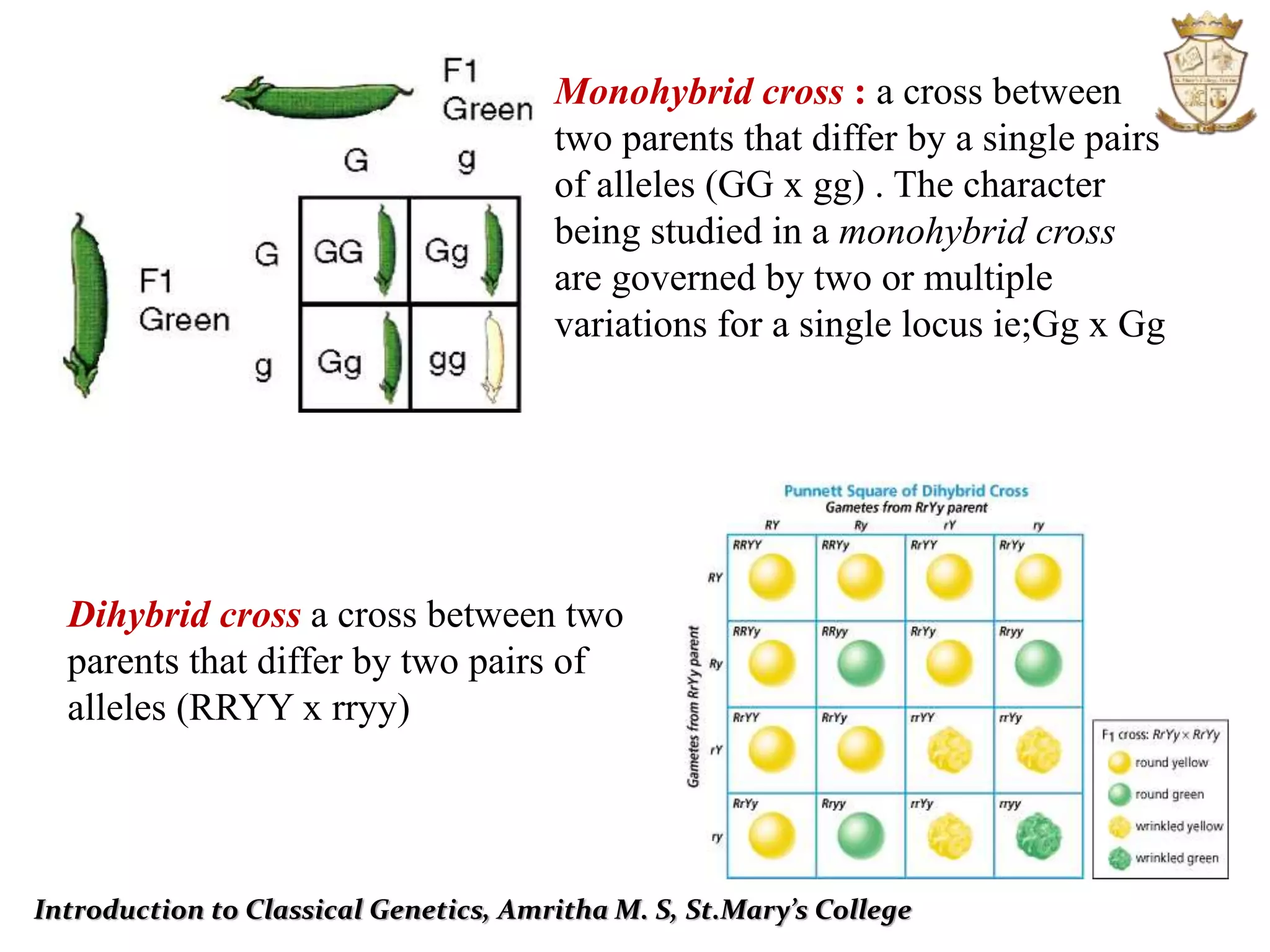 Botany:Introduction to Classical Genetics | PPTX