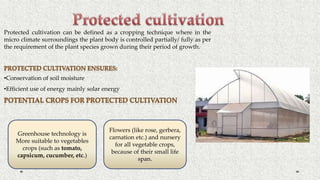 vegetable cultivation under open and protected environment | PPTX