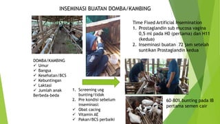 inseminasi buatan dan pemeriksaan kebuntingan dini | PDF