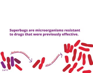 Superbugs and the role of diagnostics explained | PDF