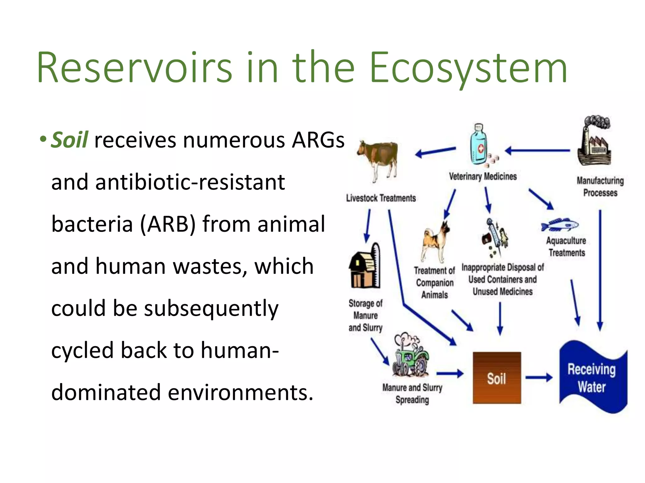 What is Antimicrobial Resistance?.pptx