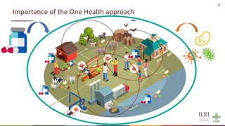 One Health and antimicrobial resistance | PPTX