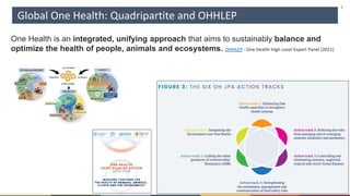 One Health and antimicrobial resistance | PPTX