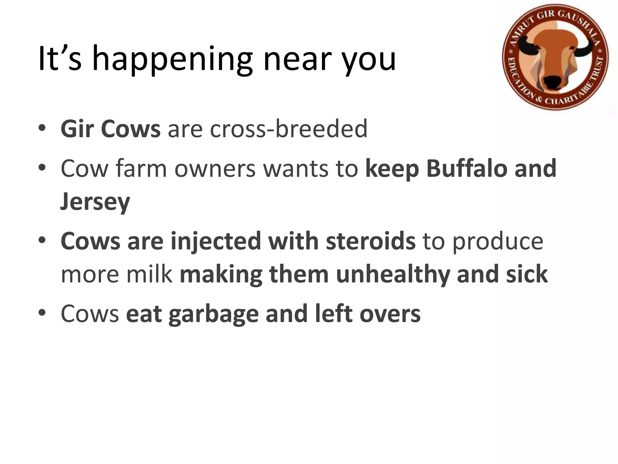 Amrut Gir Gaushala - A Mission to Nurture Gir Cow and Build Healthier ...