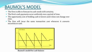 Amrutha menon cash management | PPTX
