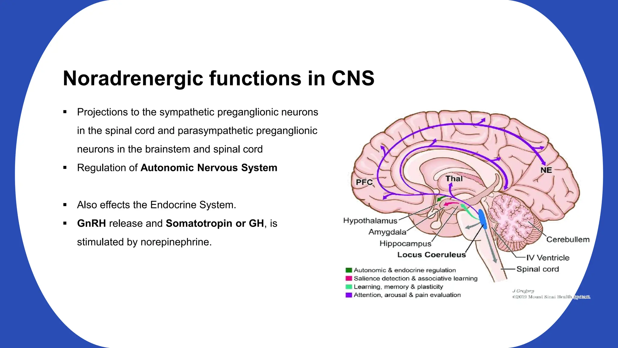 NorEpinephrine ppt.pptx