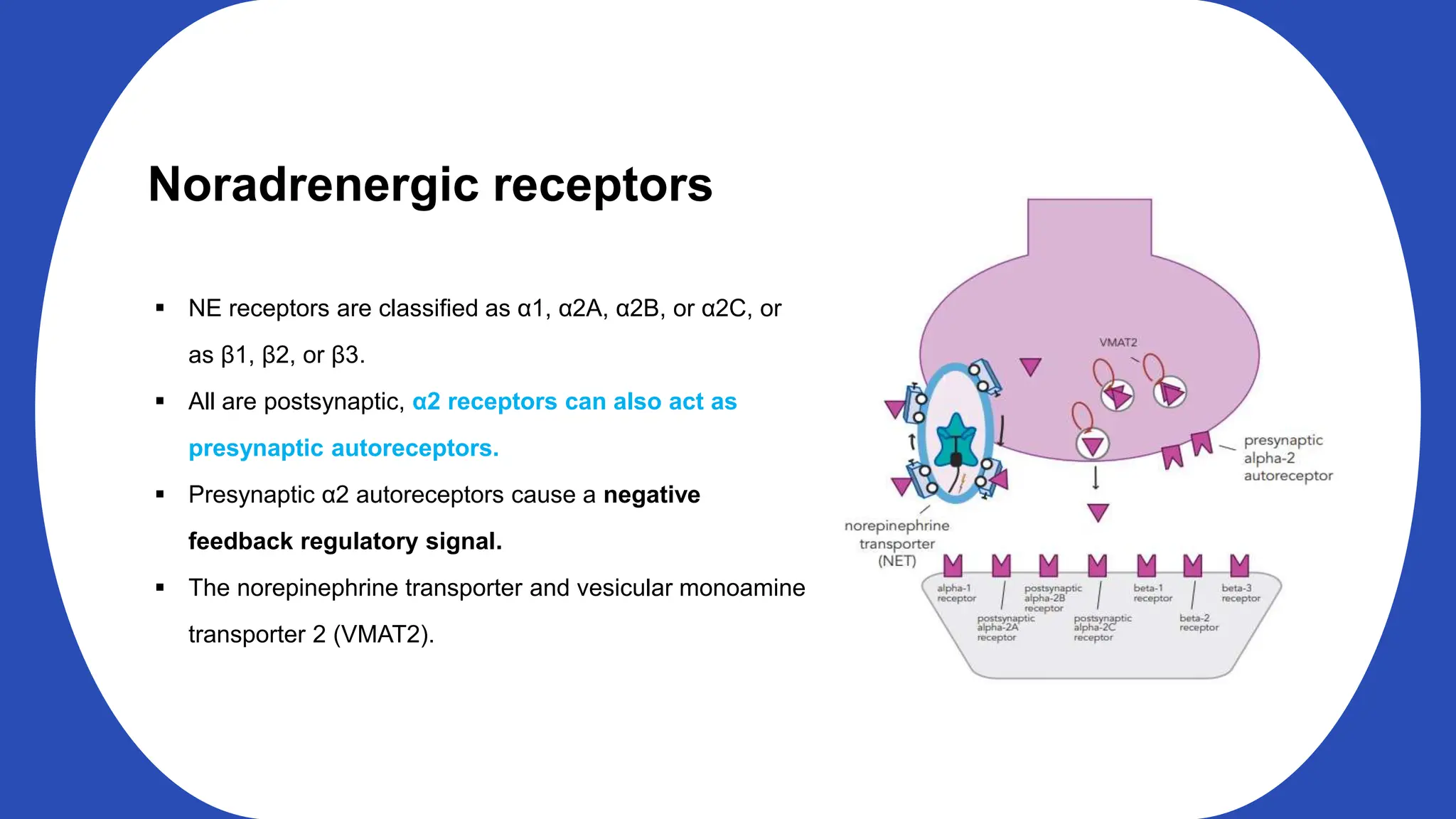 NorEpinephrine ppt.pptx