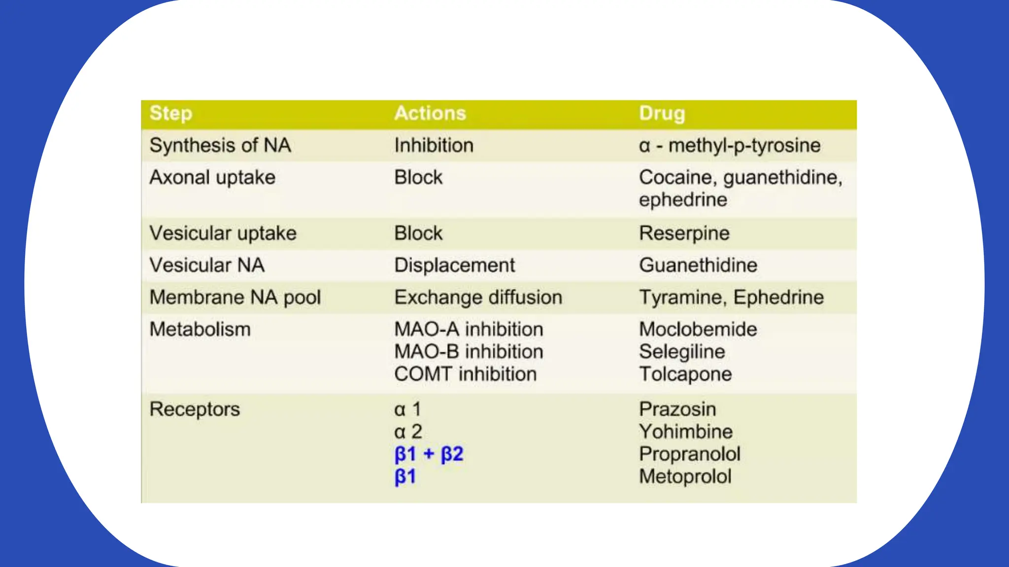 NorEpinephrine ppt.pptx