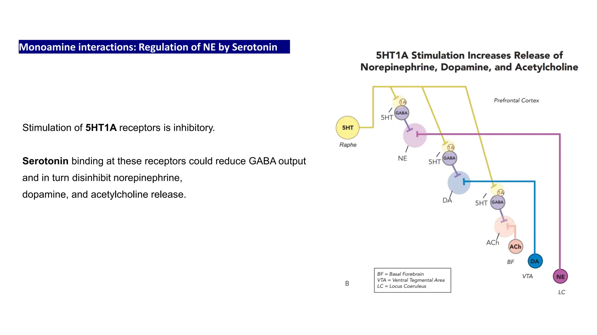 NorEpinephrine ppt.pptx