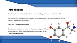 NorEpinephrine ppt.pptx