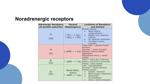 NorEpinephrine ppt.pptx | Endocrine and Metabolic Diseases | Diseases and Conditions