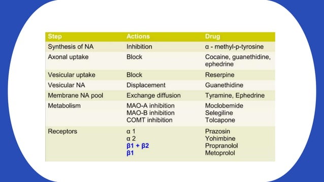 NorEpinephrine ppt.pptx | Endocrine and Metabolic Diseases | Diseases and Conditions