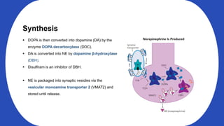 NorEpinephrine ppt.pptx