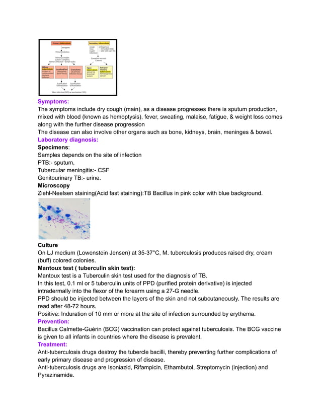 Tuberculosis_and_Typhoid notes _.pdf