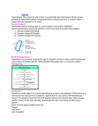 Tuberculosis_and_Typhoid notes _.pdf