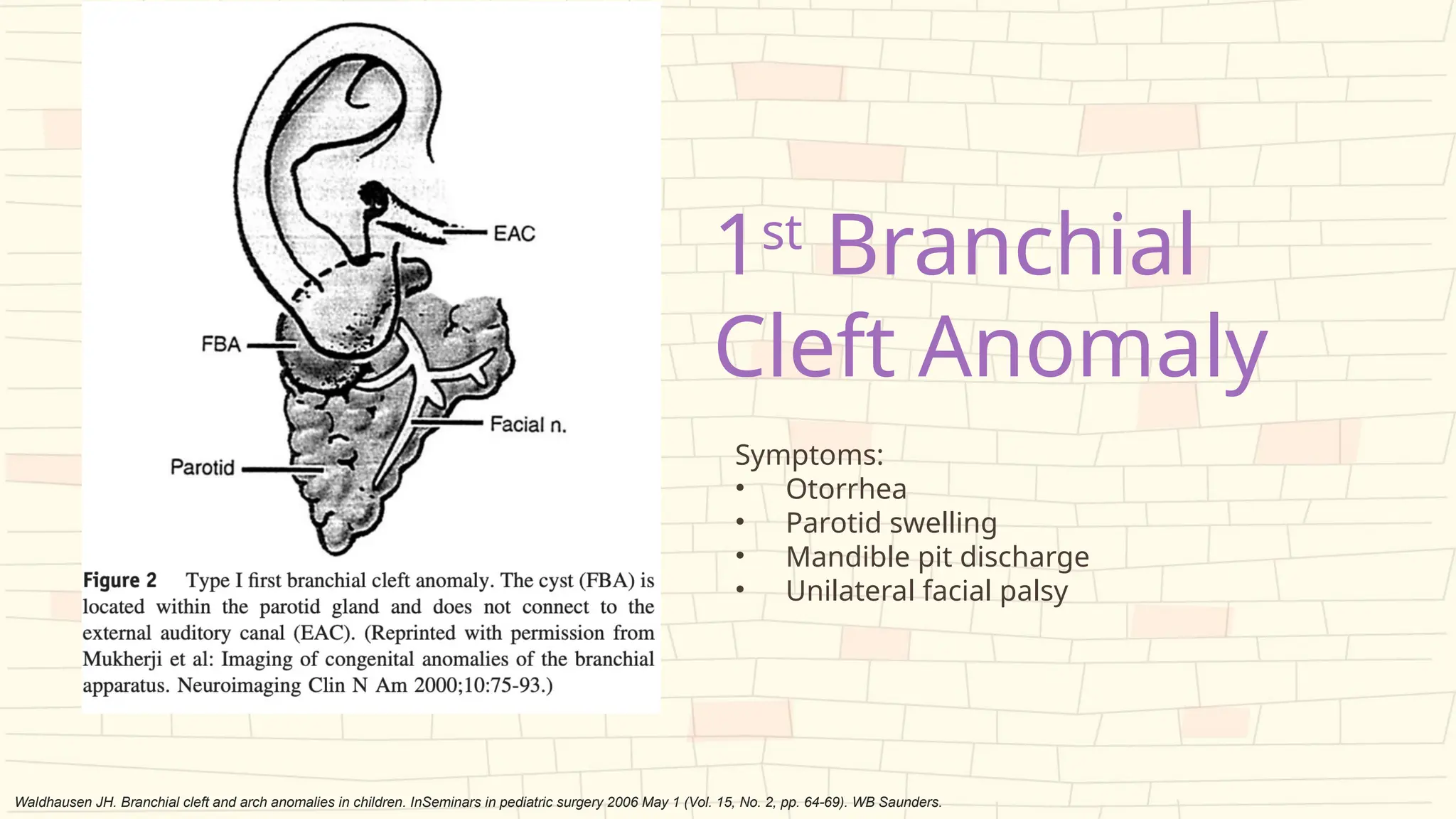 Branchial Cleft Anomalies and Pathology.pptx