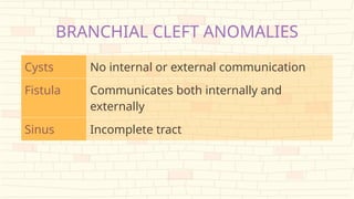 Branchial Cleft Anomalies and Pathology.pptx
