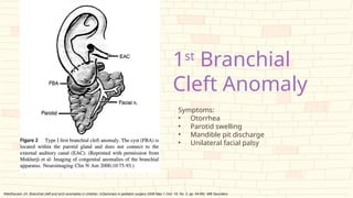 Branchial Cleft Anomalies and Pathology.pptx