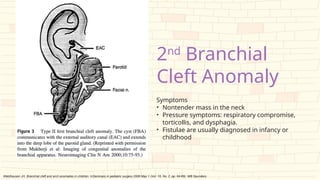 Branchial Cleft Anomalies and Pathology.pptx