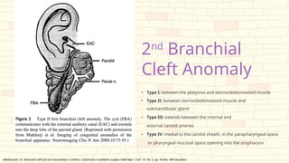 Branchial Cleft Anomalies and Pathology.pptx