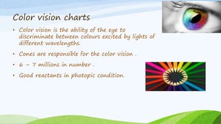 Amsler grid and color vision chart | PPTX