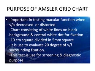 Amsler grid chart | PPTX