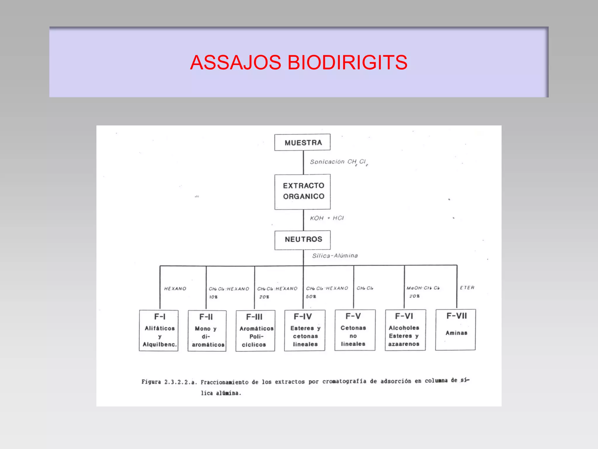 La cara amable dels bacteris: microorganismes i biomedicació | PPT