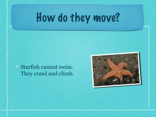Am starfish project | PPT