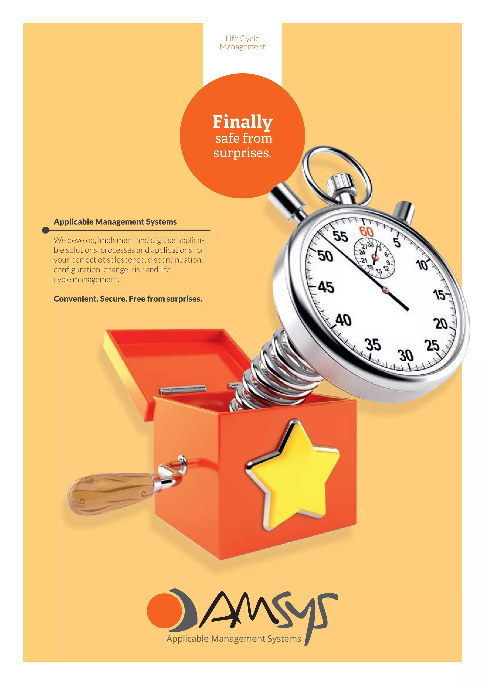 AMSYS - Applicable Management Systems | PDF