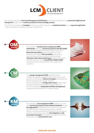 AMSYS - Applicable Management Systems | PDF