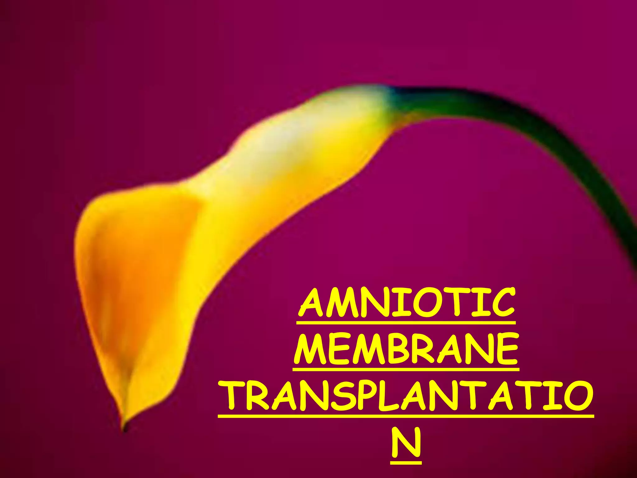 Amniotic membrane transplantation | PPTX