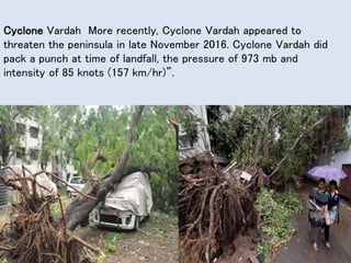 Impacts of Heat,Cold Waves, Stroms And Tropical Cyclones | PPTX